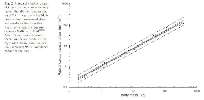 Lorehaven : Croc size to calorie chart